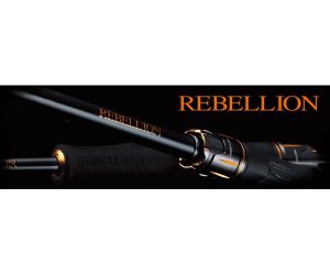 Lure Rod - Daiwa Malaysia