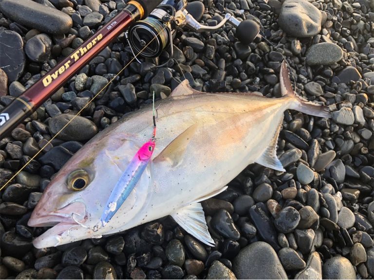 SAMURAI JIG R - Daiwa Malaysia