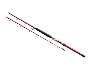 Boat Rod - Daiwa Malaysia