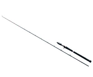 Lure Rod - Daiwa Malaysia